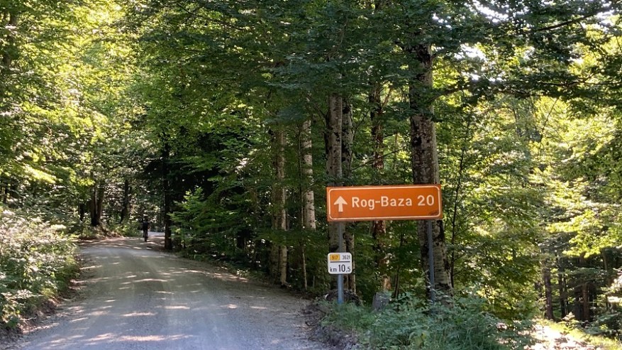 SLOVENIJA: Risova kolesarska pot v Kočevskem Rogu (51 km) – Andreja's WORLD