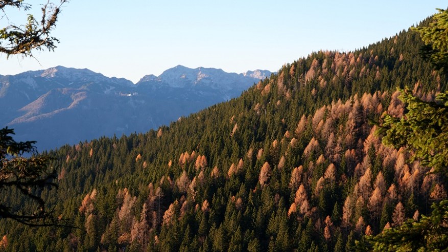 SLOVENIJA: Planinska pravljica na razglednem Toscu (2.275 m) – Andreja ...