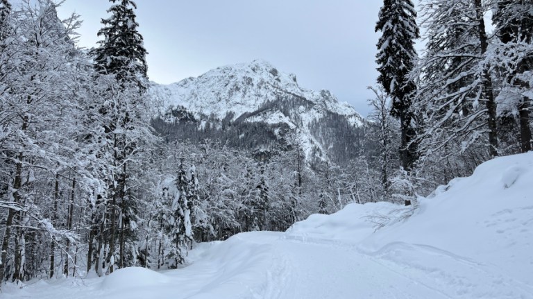 ITALIJA: Zimska pravljica do koče Zacchi (1.380 m) – Andreja's WORLD
