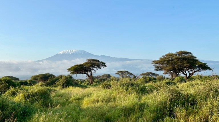 KENIJA 2024: Bogat živalski svet v NP Amboseli (3. dan) – Andreja's WORLD