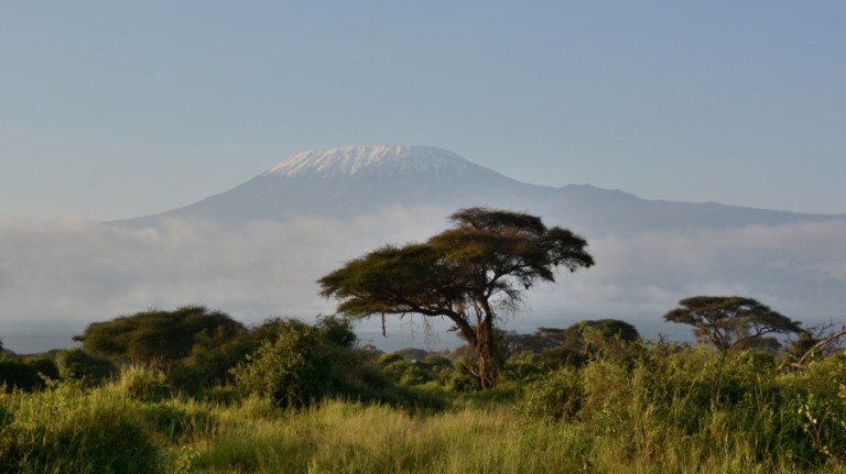 KENIJA 2024: Bogat živalski svet v NP Amboseli (3. dan) – Andreja's WORLD