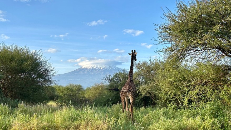KENIJA 2024: Lake Naivasha in Lake Nakuru (4. dan) – Andreja's WORLD